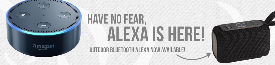 Home - Floral Ave Promo, Grand Rapids, MI